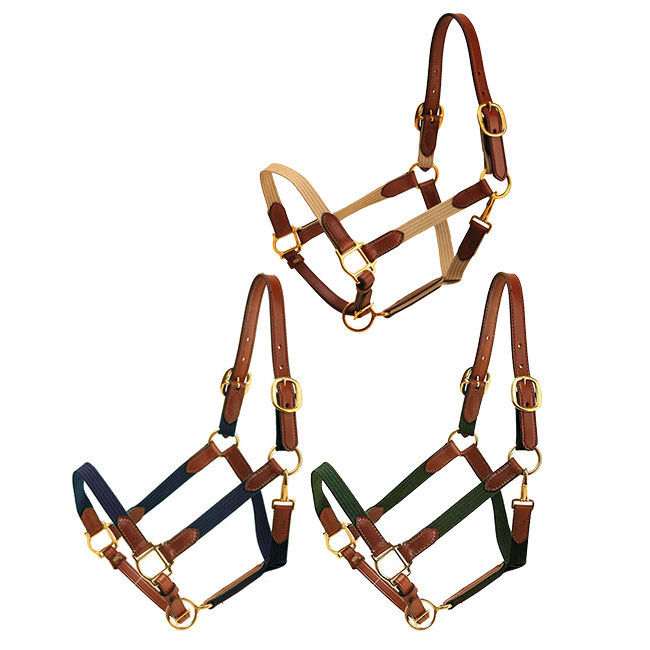 Tory Leather Leather & Cotton Web Halter | The Cheshire Horse