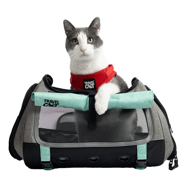Travel Cat "The Transpurrter" Ultimate Calming Convertible Cat Carrier ...