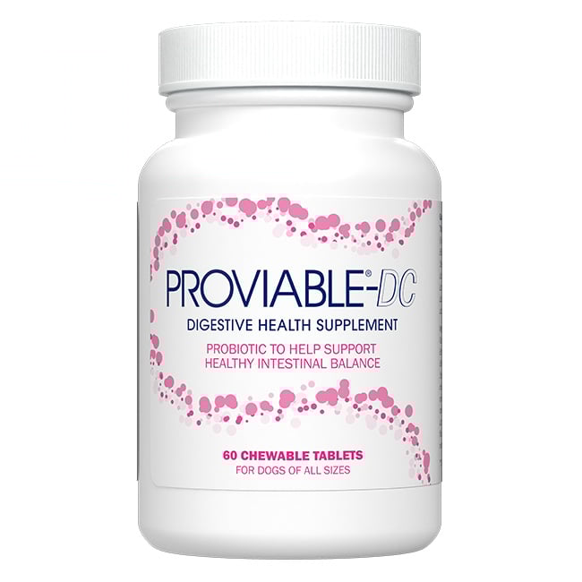 Nutramax Proviable Probiotics for Dogs, Daily Digestive Health ...