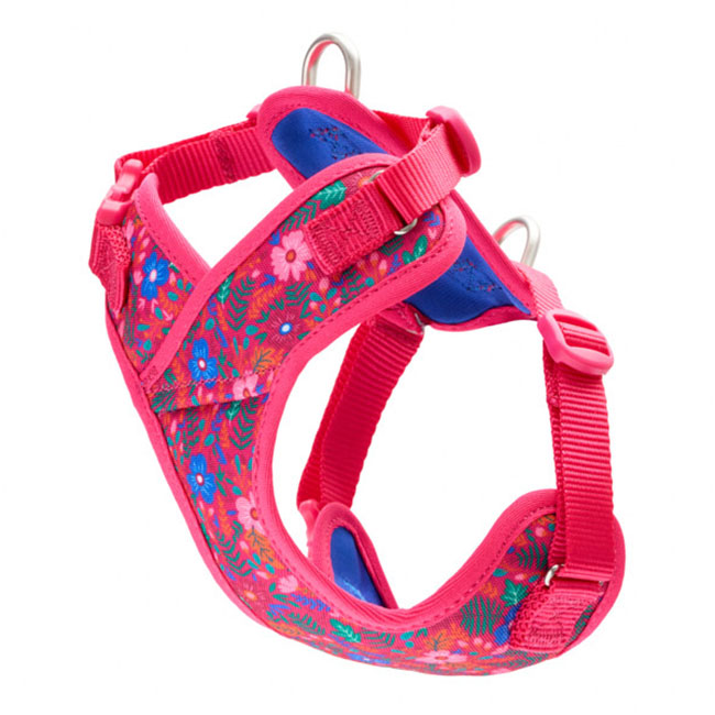 RC Pets Petite Explorer Harness - Frida | The Cheshire Horse