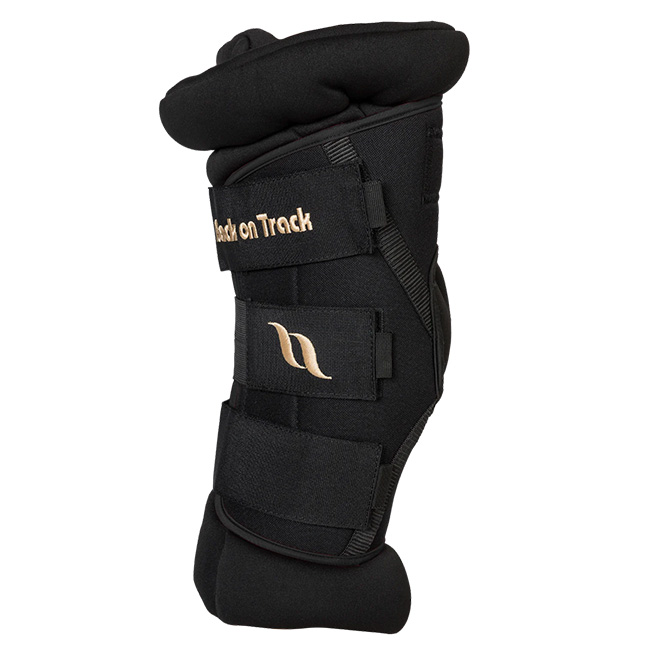 Back on Track Royal Padded Hock Boots Deluxe | The Cheshire Horse