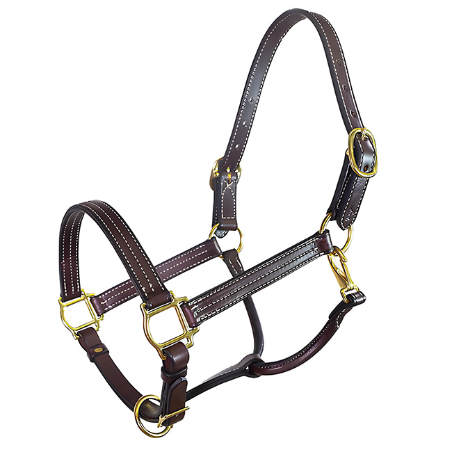 Tory Leather Traditional Deluxe Halter | The Cheshire Horse