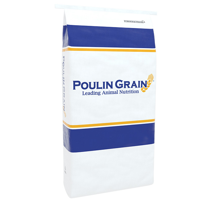 Poulin Grain Cattle 40 Show Pellet - 50 lb | The Cheshire Horse
