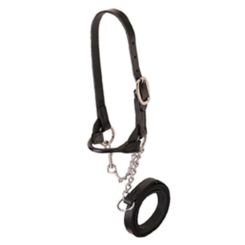 Weaver Livestock Bucket Calf Show Halter - Black | The Cheshire Horse