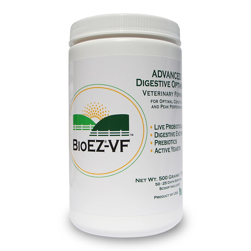 Giddyap Girls BioEZ-VF Advanced Digestive Optimizer | The Cheshire Horse