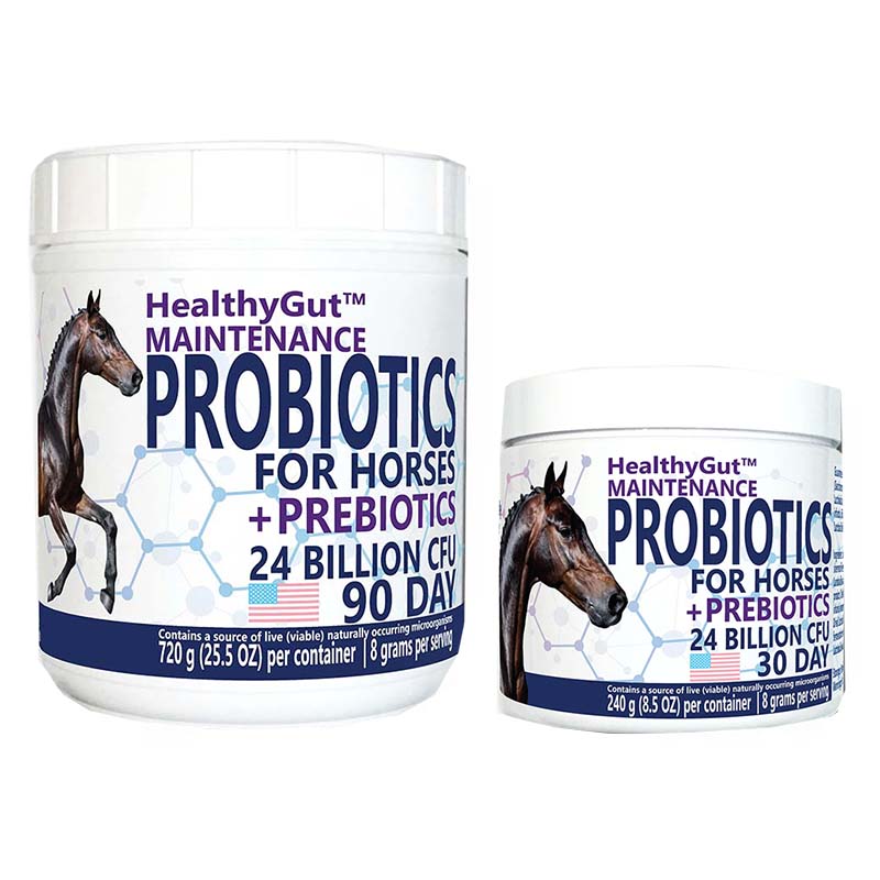 Equa Holistics HealthyGut Probiotics for Horses: Maintenance | The ...