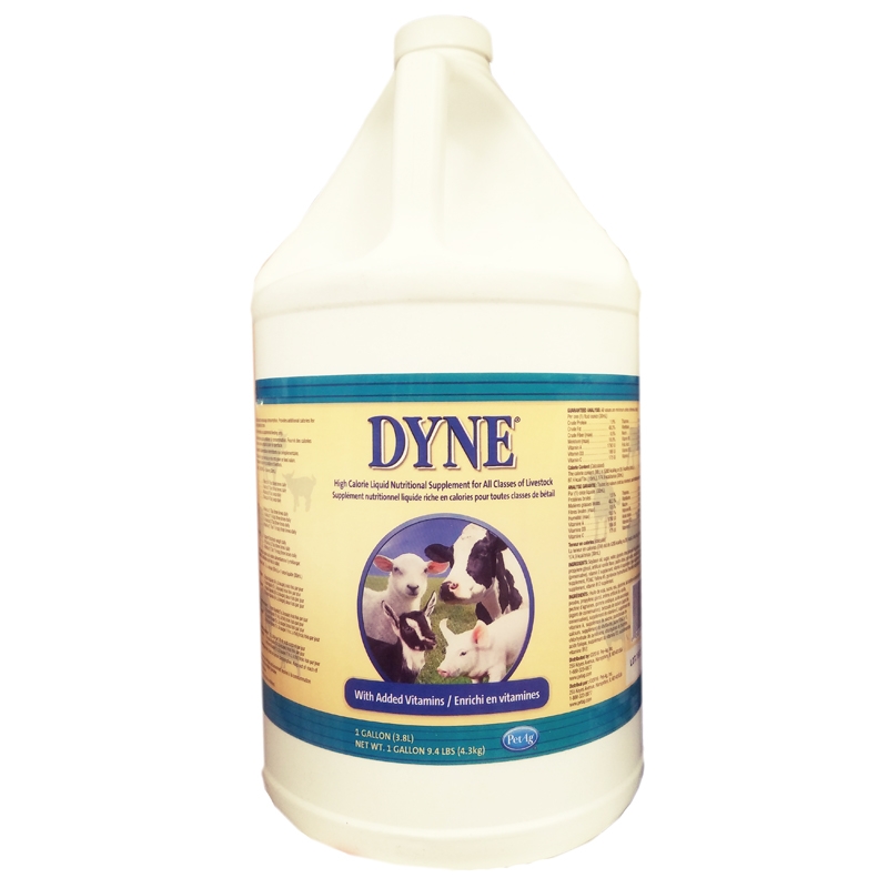 PetAg Dyne High Calorie Liquid Nutritional Supplement for Livestock