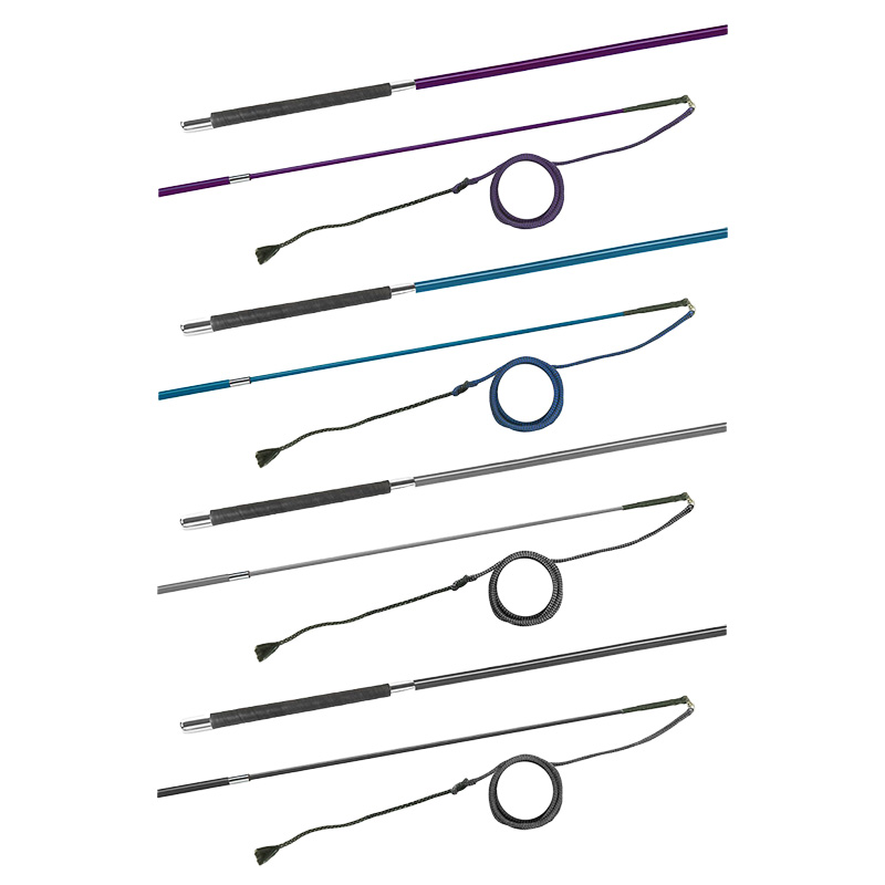 FLECK 2-Part Telescopic Lunging Whip - Assorted Colors | The Cheshire Horse